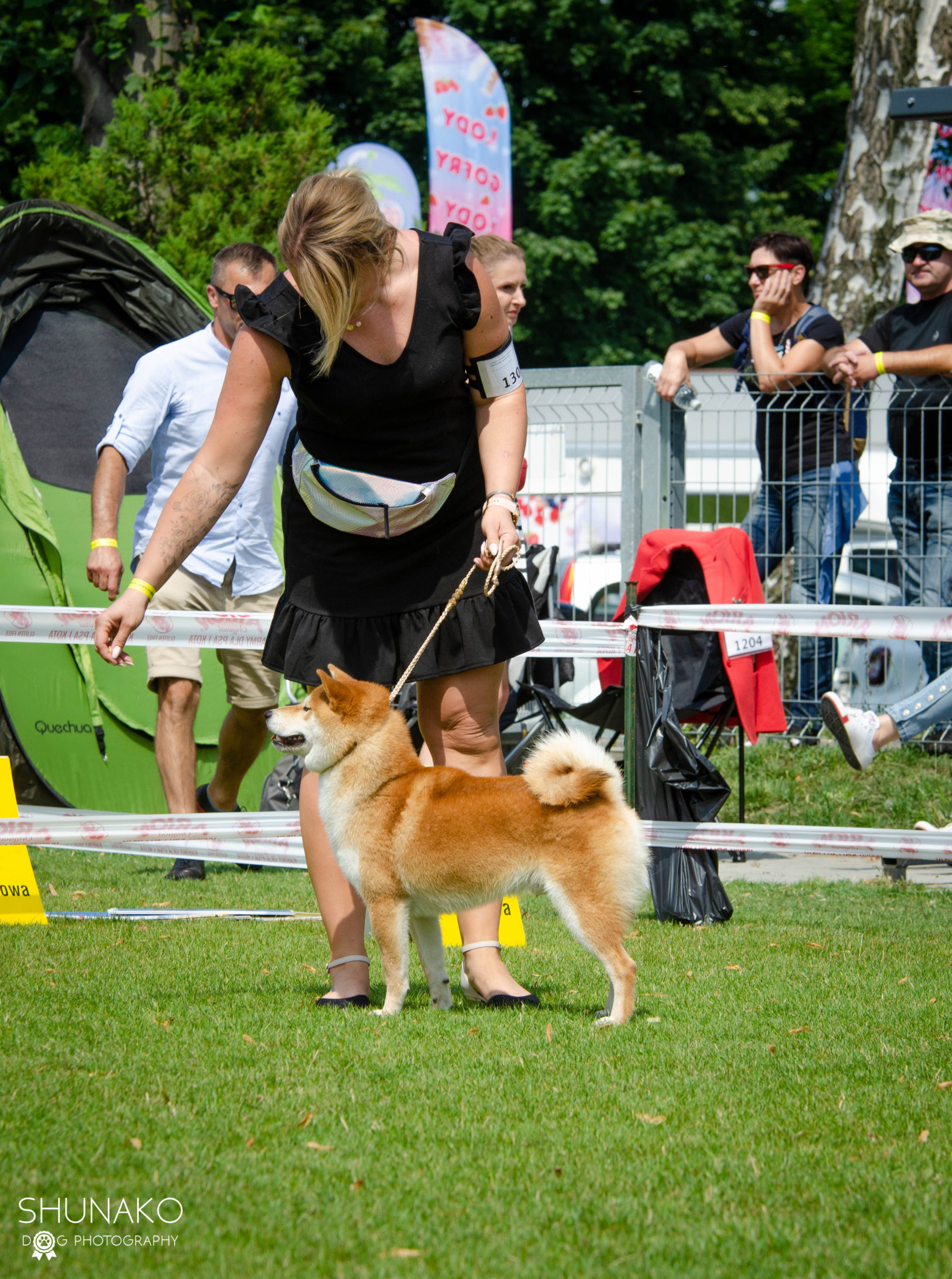 AKAI HANA MOKKO aka Sensei | Hodowla Shiba Kraków, Hodowla Shiba - DOG ...